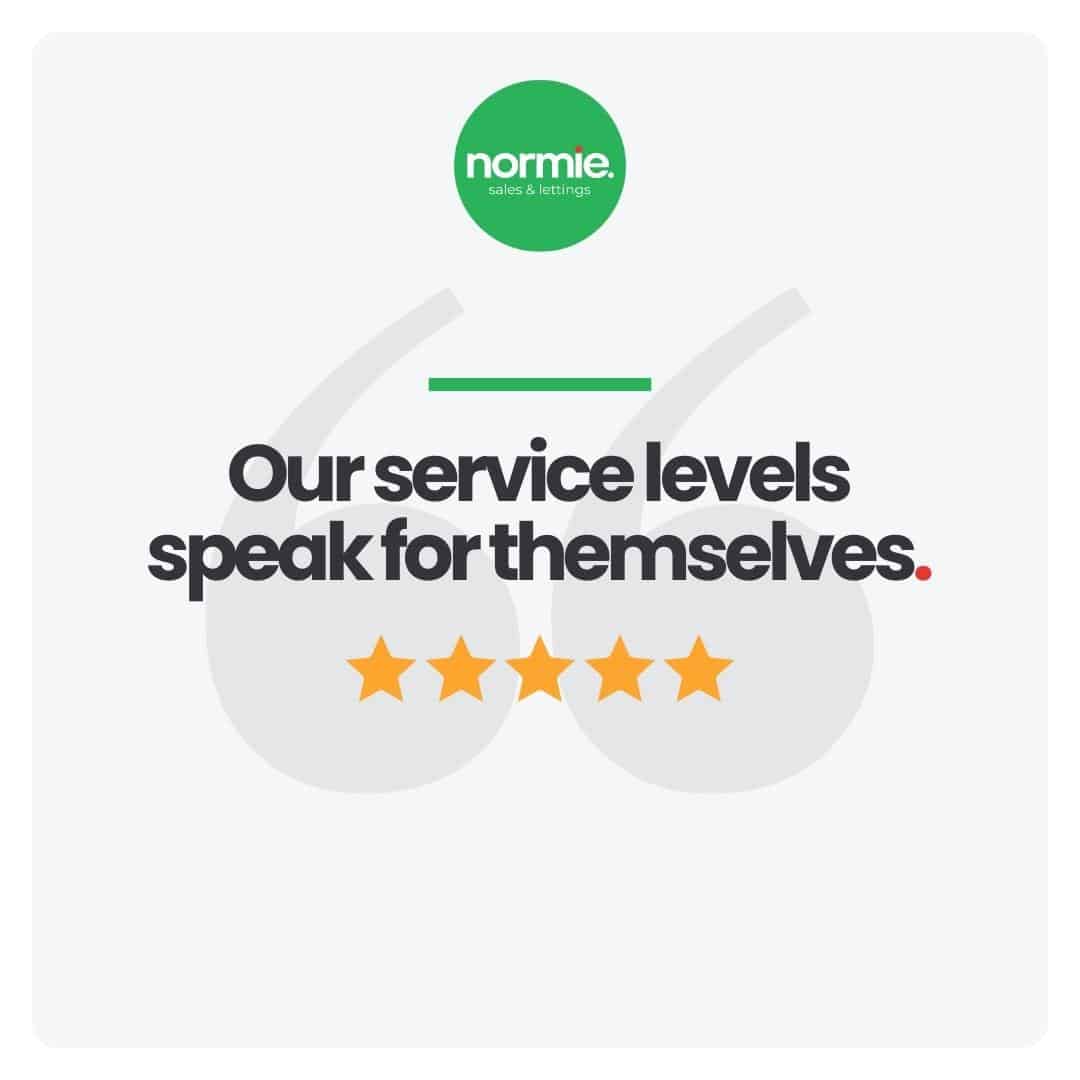 Reviews | Normie